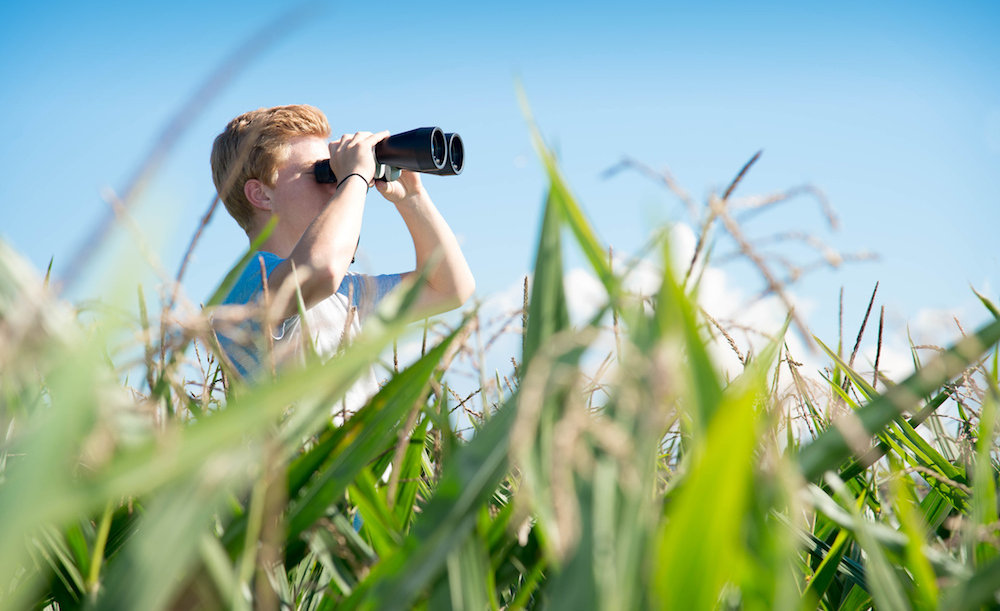 Where are the TAMPs?